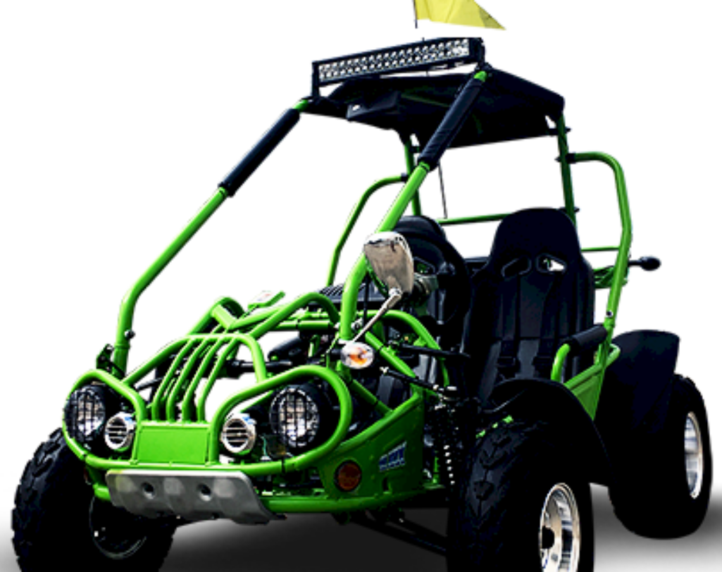 TrailMaster 200E XRX (EFI) Fuel Injection Deluxe Buggy Go Kart, Alloy ...