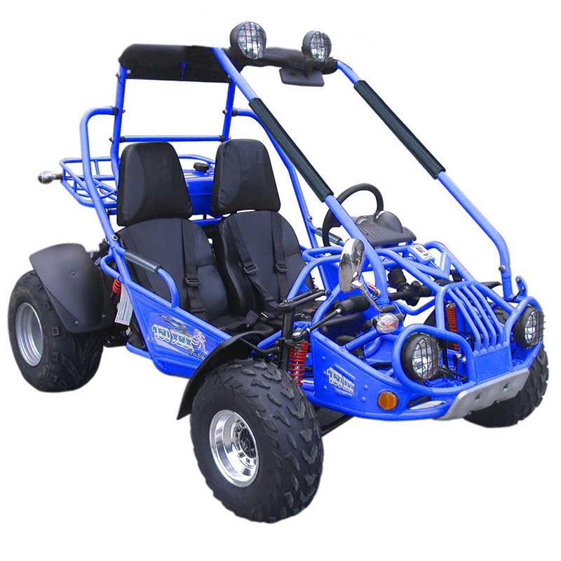 TrailMaster 200E XRX (EFI) Fuel Injection Deluxe Buggy Go Kart, Alloy ...