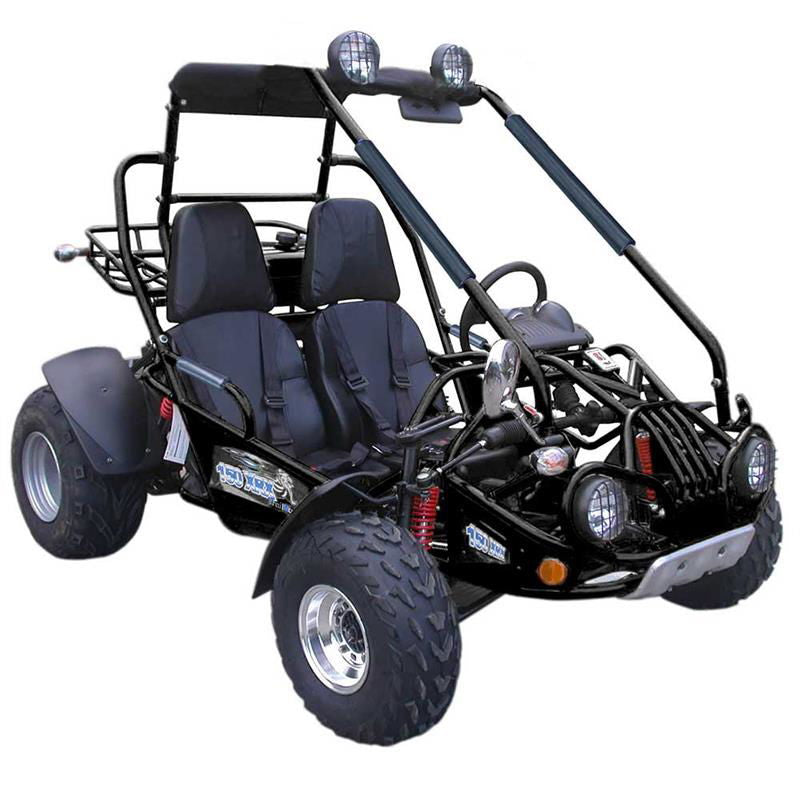 TrailMaster 200E XRX (EFI) Fuel Injection Deluxe Buggy Go Kart, Alloy ...
