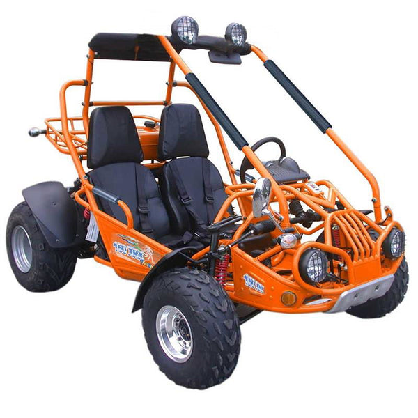 TrailMaster 200E XRX (EFI) Fuel Injection Deluxe Buggy Go Kart, Alloy ...