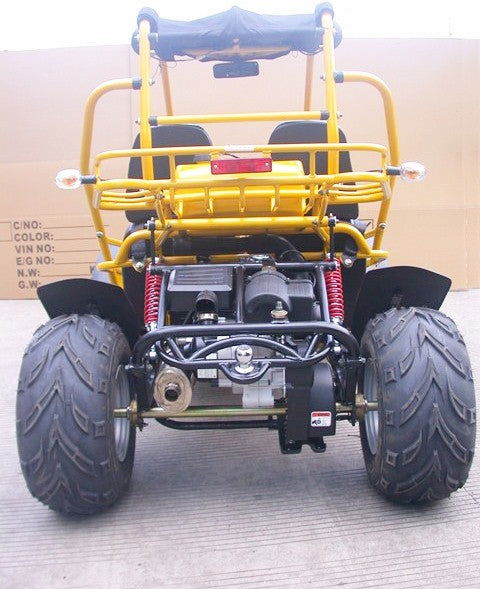 TrailMaster 200E XRX (EFI) Fuel Injection Deluxe Buggy Go Kart, Alloy ...