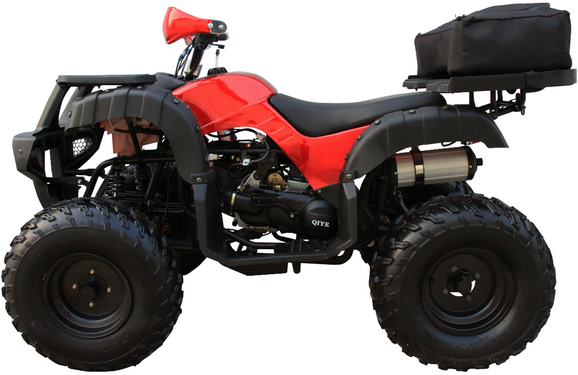Coolster (3200U) 200cc Utility ATV, Electric Start, Automatic with Rev ...