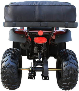 Coolster (3200U) 200cc Utility ATV, Electric Start, Automatic with Rev ...
