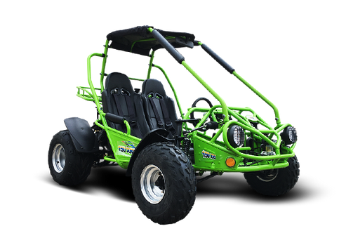 Trailmaster 200 XRS Buggy Go Kart CVT Auto with Reverse, Number One Go ...