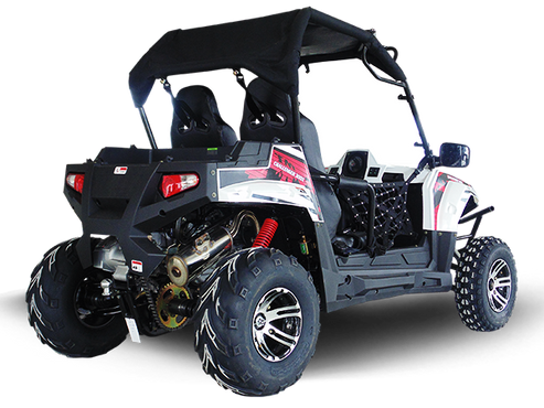 TrailMaster Challenger 300EX (EFI) UTV Side-by-Side, Shaft Drive with ...