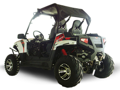 TrailMaster Challenger 300EX (EFI) UTV Side-by-Side, Shaft Drive with ...