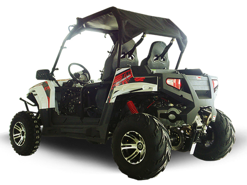 TrailMaster Challenger 300EX (EFI) UTV Side-by-Side, Shaft Drive with ...