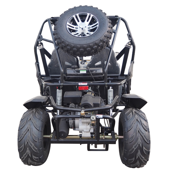 TrailMaster Cheetah 200EX EFI Go Kart CVT Automatic with Reverse, Allo ...