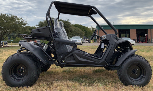TrailMaster Cheetah 200 Full Size Buggy Go Kart, CVT Automatic with Re ...