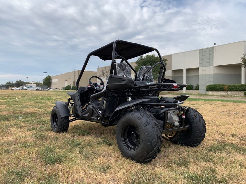 TrailMaster Cheetah 200 Full Size Buggy Go Kart, CVT Automatic with Re ...