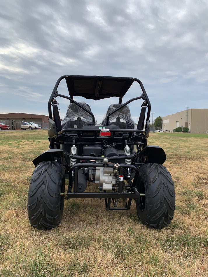 TrailMaster Cheetah 200 Full Size Buggy Go Kart, CVT Automatic with Re ...