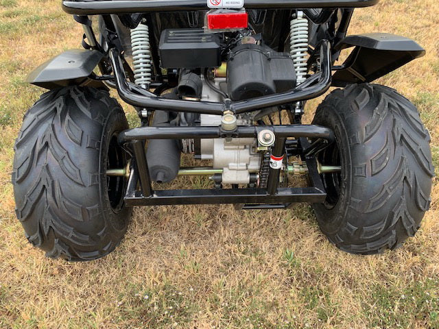 TrailMaster Cheetah 200 Full Size Buggy Go Kart, CVT Automatic with Re ...
