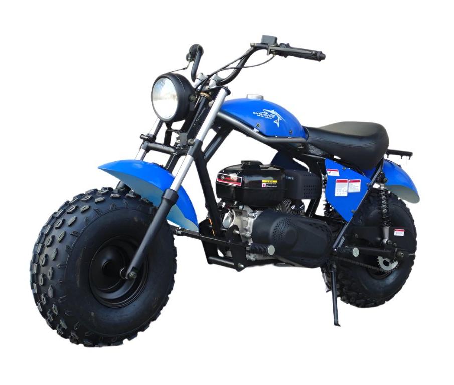 TrailMaster Minibikes – TrailMaster Powersports