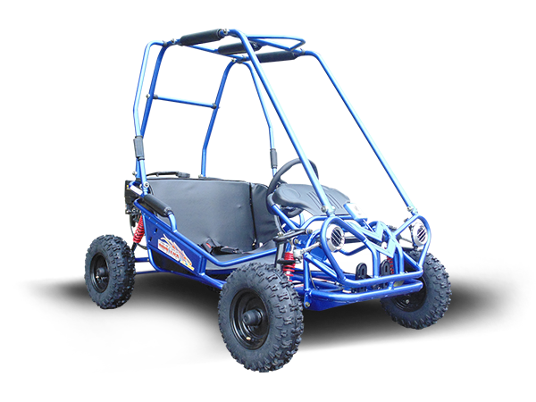 TrailMaster MINI XRS+ Kids Go Kart, 5.5hp Gas Engine, Dual Seats, Adju ...