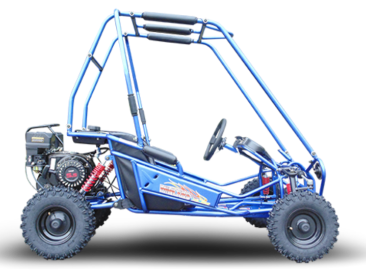 TrailMaster MINI XRS+ Kids Go Kart, 5.5hp Gas Engine, Dual Seats, Adju ...