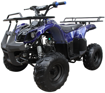 Mini 125cc Utility Style ATV, Electric Start, Automatic with Reverse ...