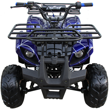 Mini 125cc Utility Style ATV, Electric Start, Automatic with Reverse ...