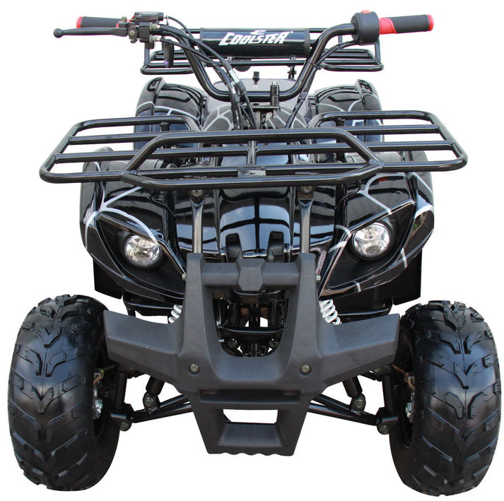 Mini 125cc Utility Style ATV, Electric Start, Automatic with Reverse ...