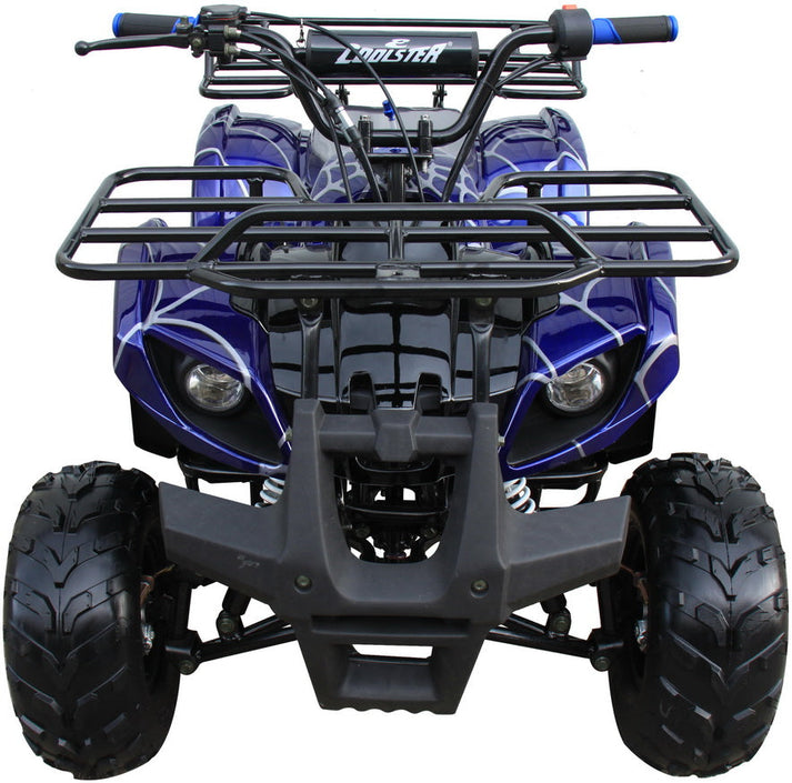 Mini 125cc Utility Style ATV, Electric Start, Automatic with Reverse ...