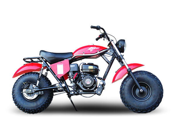 TrailMaster Monster Dog II Mini Bike, 208cc 7.5hp with Torque Converte ...