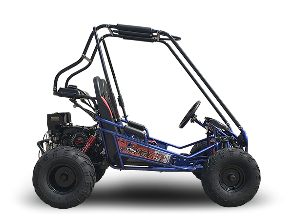 TrailMaster MINI XRX/R+ Go Kart, 5.5hp Parental Remote Control with Re ...