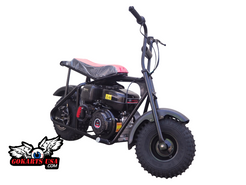 Storm (Motovox) 200 Minibike, 196cc 6.5hp, Disc Brake – TrailMaster ...