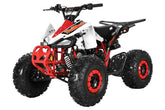 TrailMaster ATV 4-Wheelers – TrailMaster Powersports