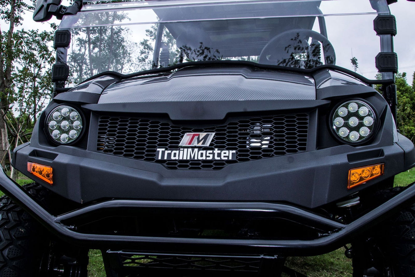 TrailMaster Taurus 80ED-GV 6-Seat Electric Golf Cart, 72 Volt, Extende ...