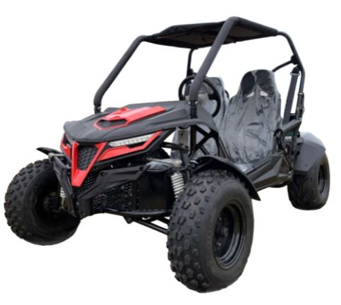 TrailMaster Cheetah 200 Full Size Buggy Go Kart, CVT Automatic with Re ...